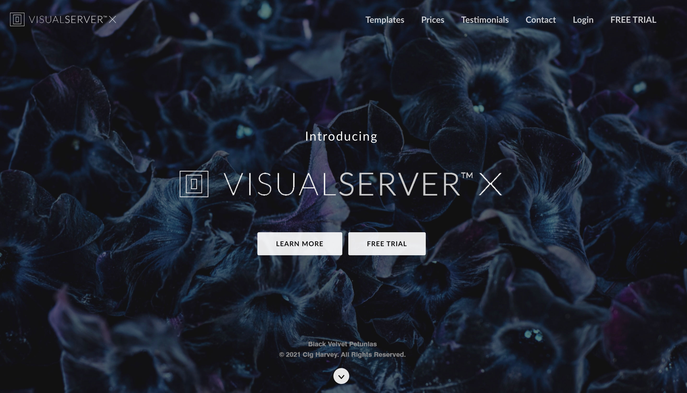 VisualServer X